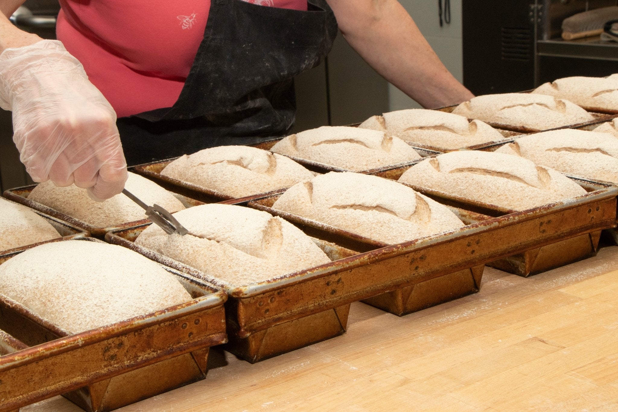 Beck's Bakery Bread Subscription | Whole Grain Breads Delivered Weekly ...